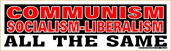 Pro Socialism Bumper Stickers