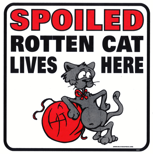 Spoiled Rotten Cat Lives Herel / 11 inch by 11 inch Plastic Sign